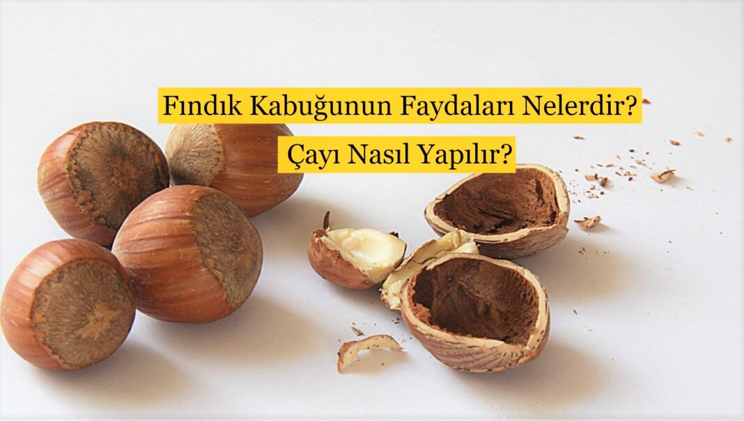 Fındık Kabuğunun Faydaları Nelerdir? Çayı Nasıl Yapılır? - Güzel Bilgiler